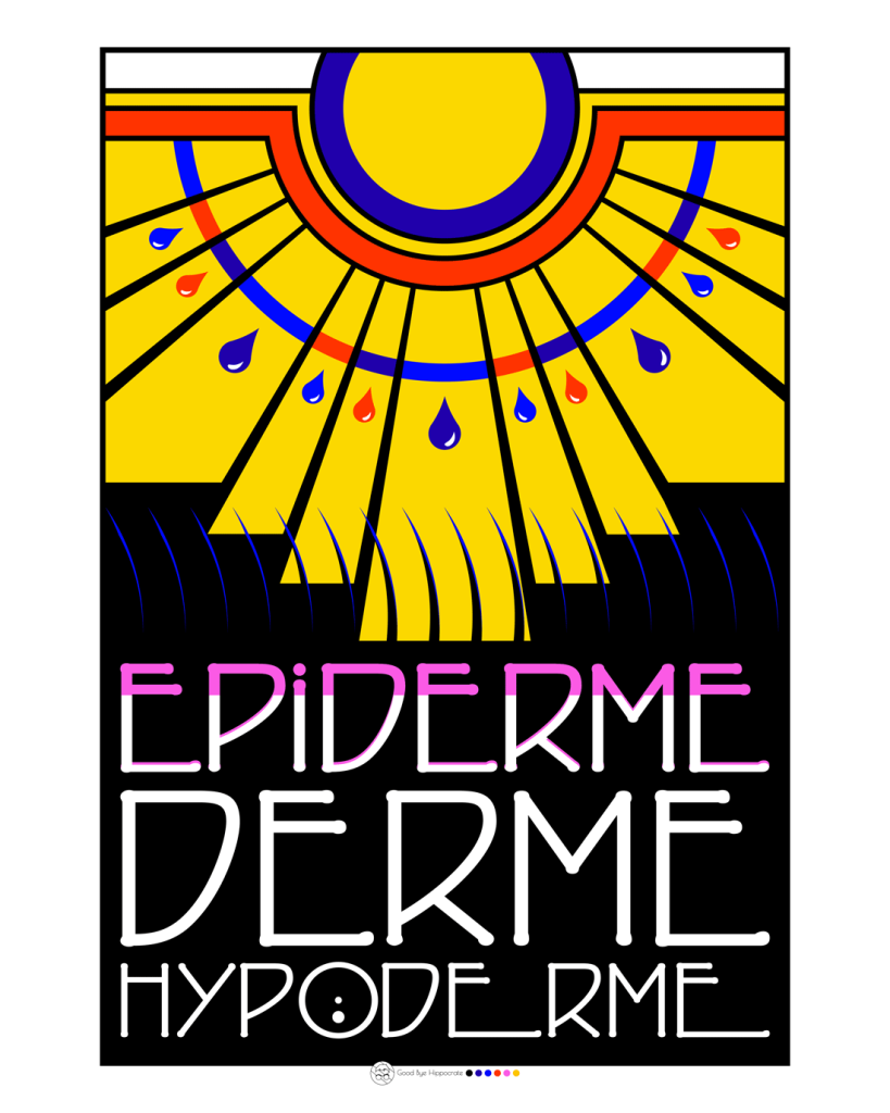 Visuel graphique et artistique de la dermatologie selon Good Bye Hippocrate